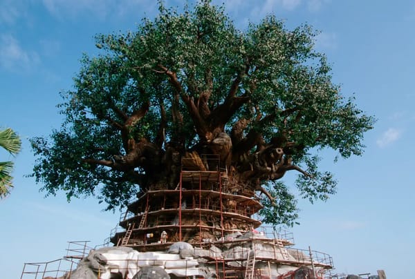 The Story Behind Animal Kingdom’s Tree of Life
